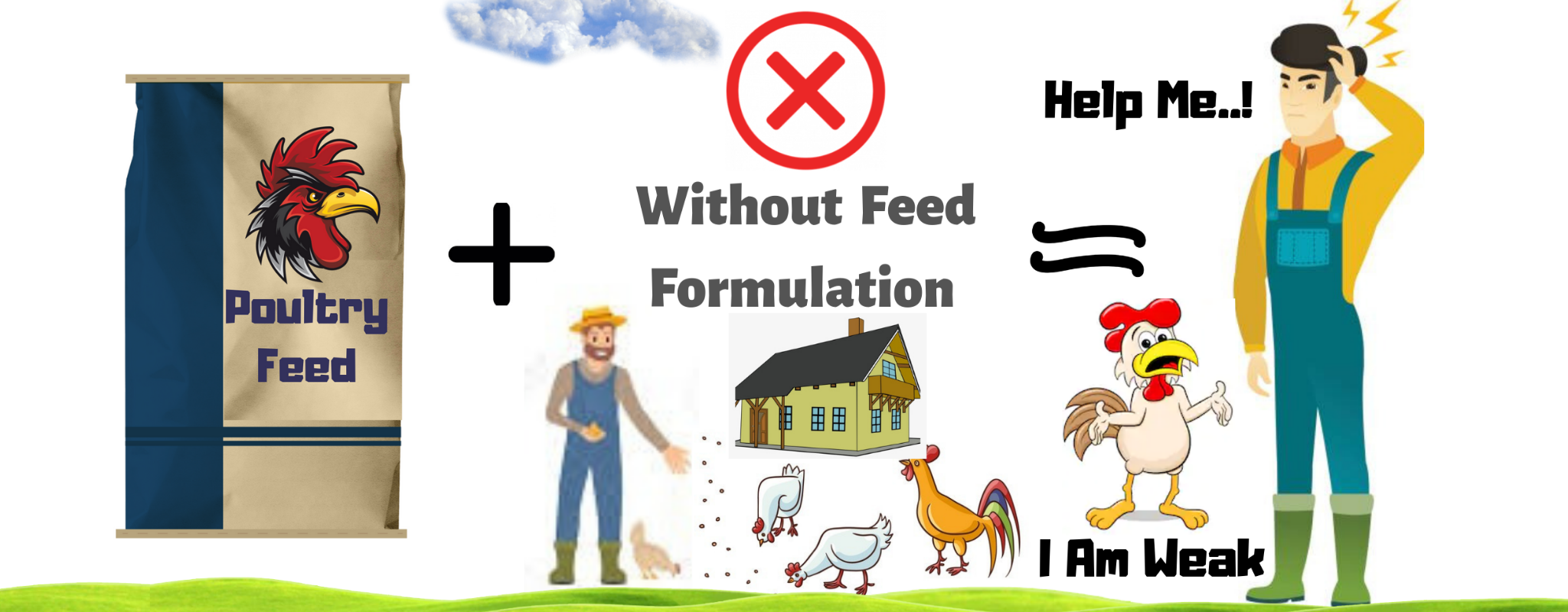 Best Feed Formulation Software | Animal Feed Fomulation Software ...